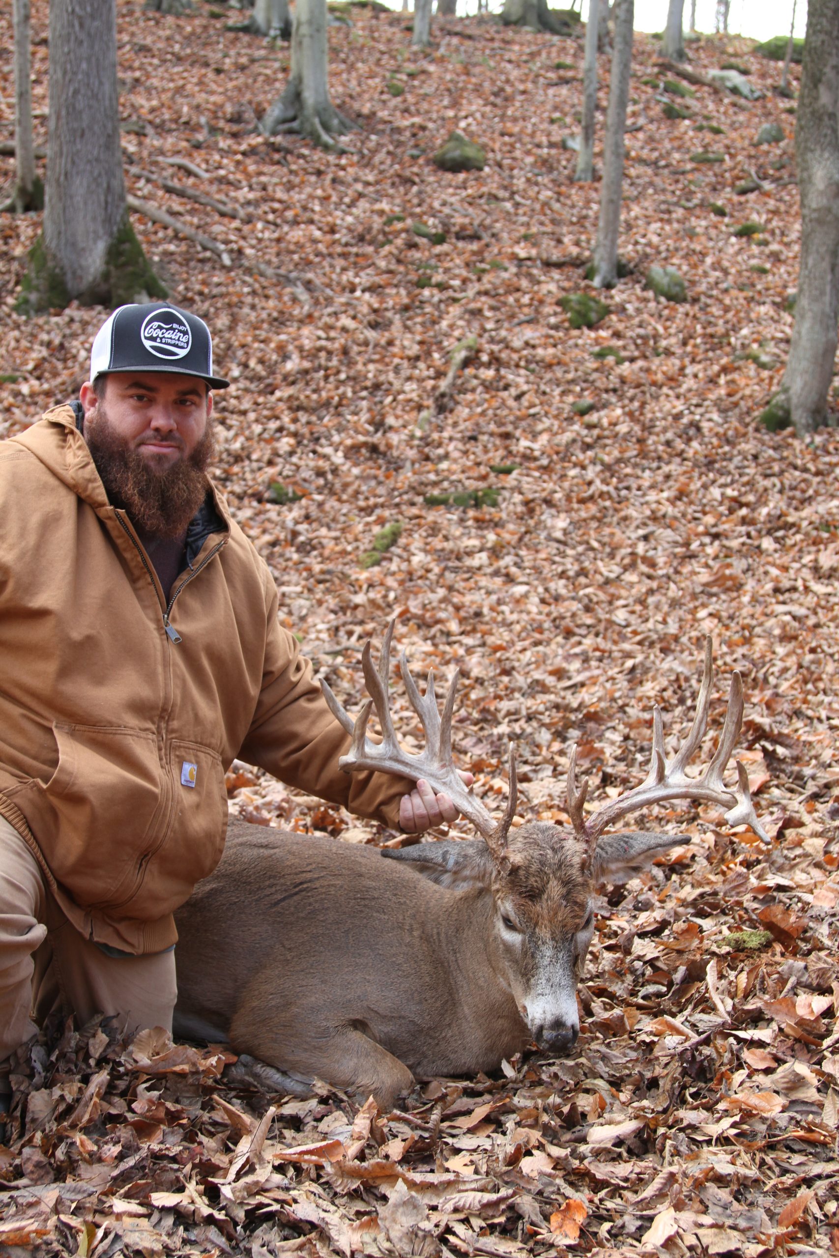 Ohio Trophy Whitetail Deer Guided Hunting Services - Extreme World Class Whitetails of Ohio