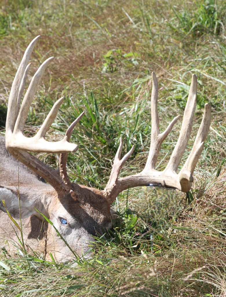 Extreme Whitetail Guided World Record Deer Hunting Ohio - Extreme World ...